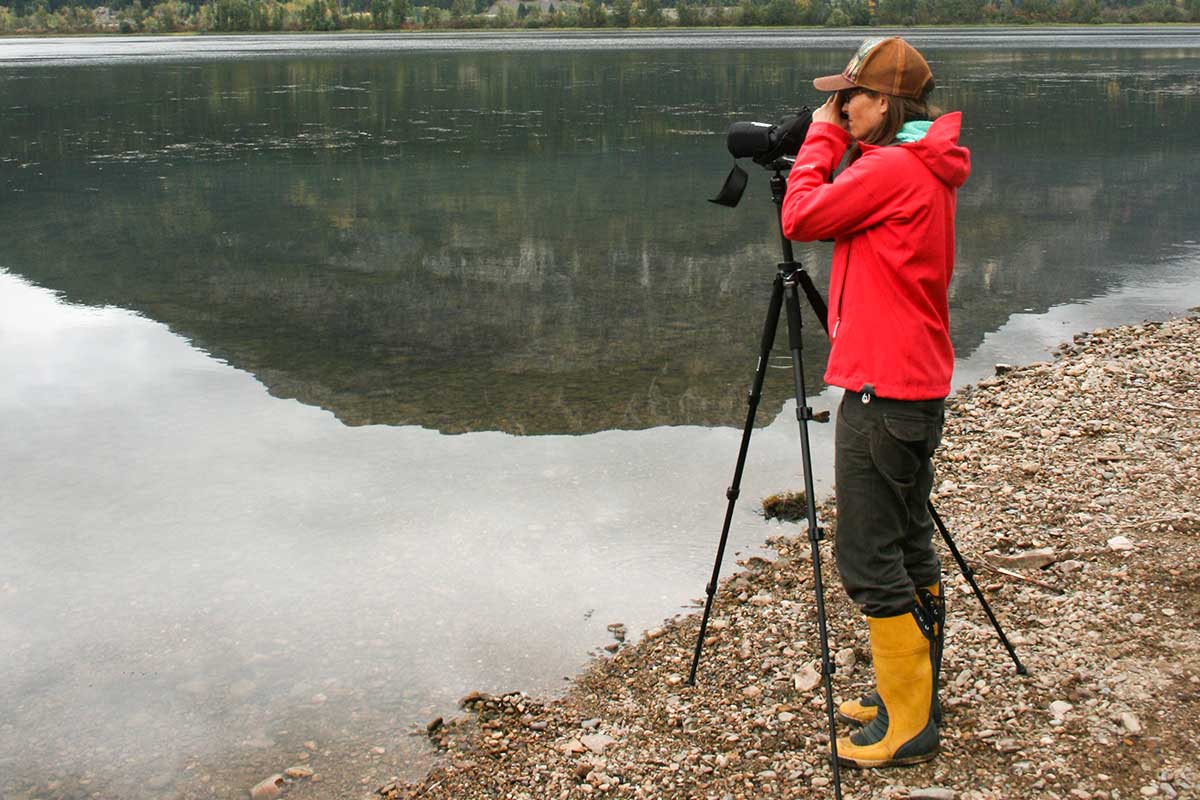 Rachel Darvill - Kootenay Conservation Program
