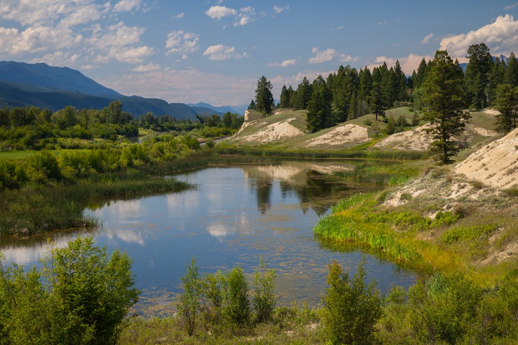 Conserving wild landscapes for the Columbia Valley community: Columbia ...