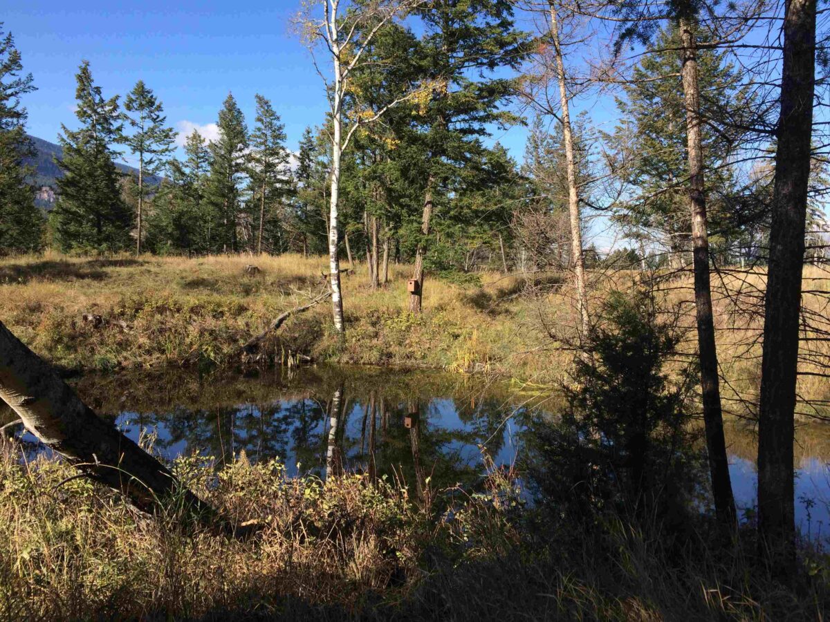 Annual Report 2022 - 2023 - Kootenay Conservation Program