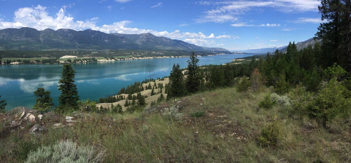 Kootenay Connect: Columbia Lake - Kootenay Conservation Program